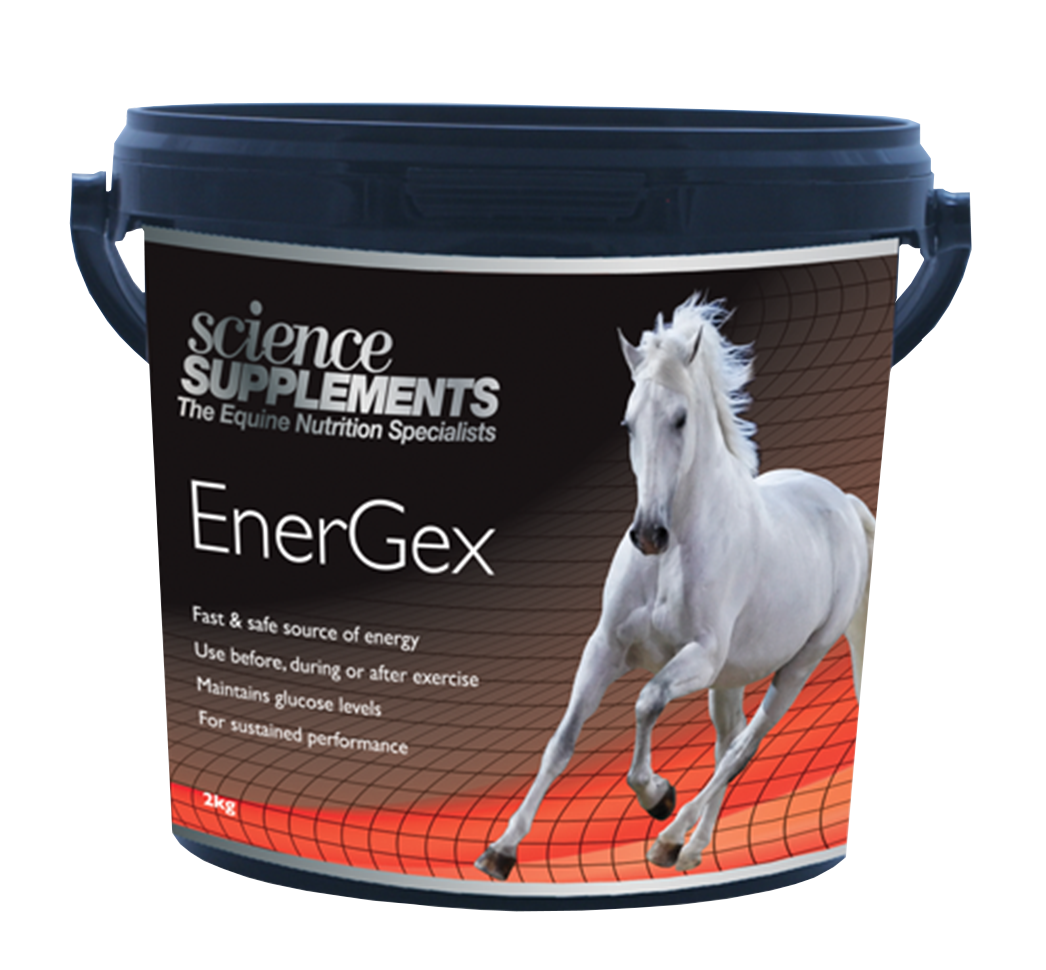 2kg ENERGEX TUB WITH A 60g TUBE – HorseandRiderSA