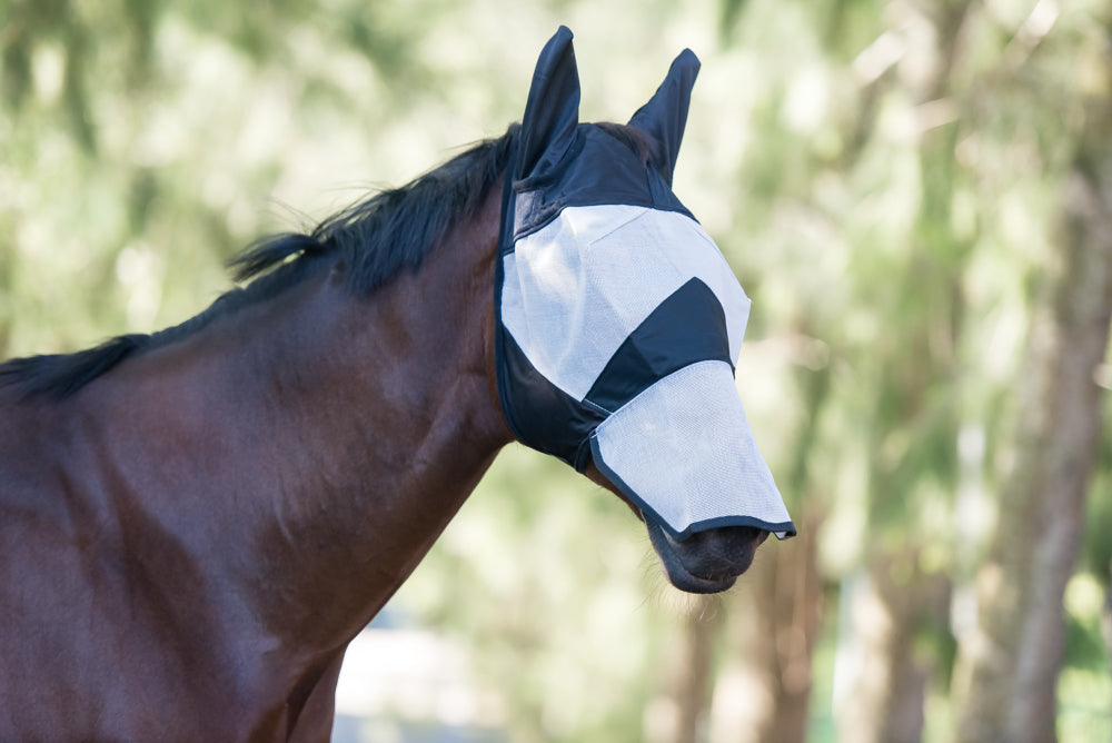 BLUE STEEL EQUESTRIAN MESH FLY MASK – HorseandRiderSA